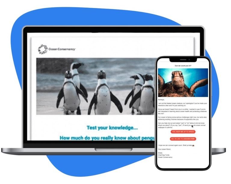 Engaging Networks: Nonprofit Digital Engagement Platform