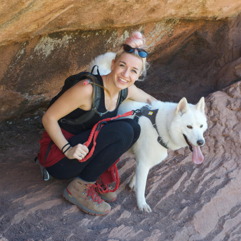 Our Team - Engaging Networks